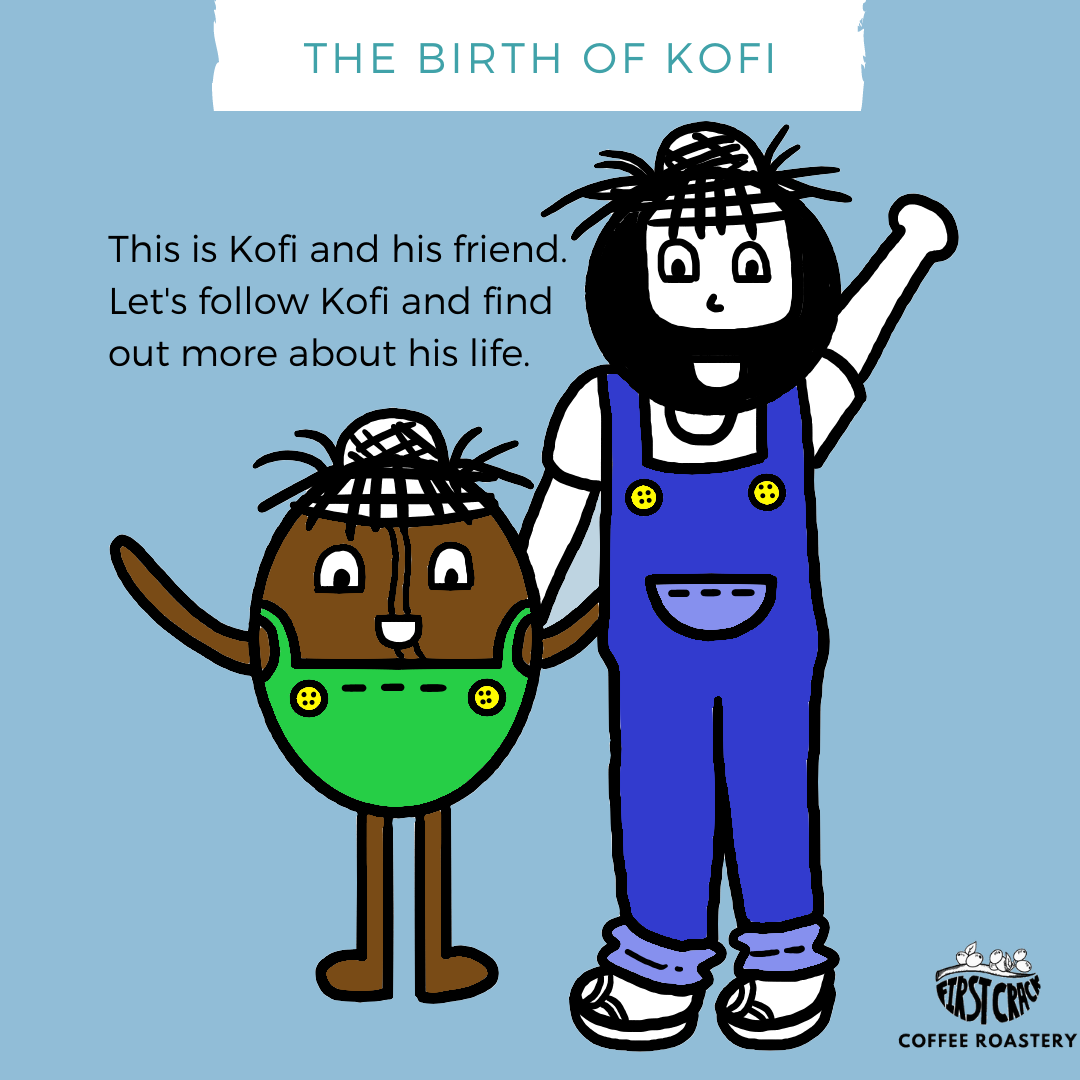 The Birth of Kofi – First Crack Coffee Roastery